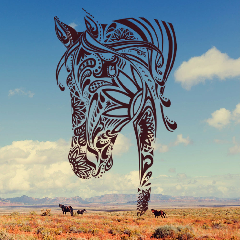 Live for the Ride - Horse Riding apparel for Women