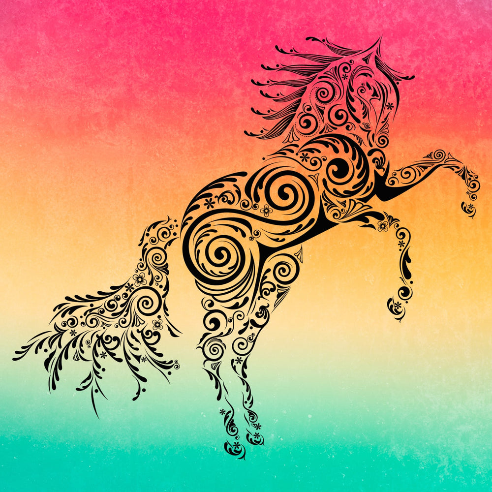 Live for the Ride - Horse Riding apparel for Women