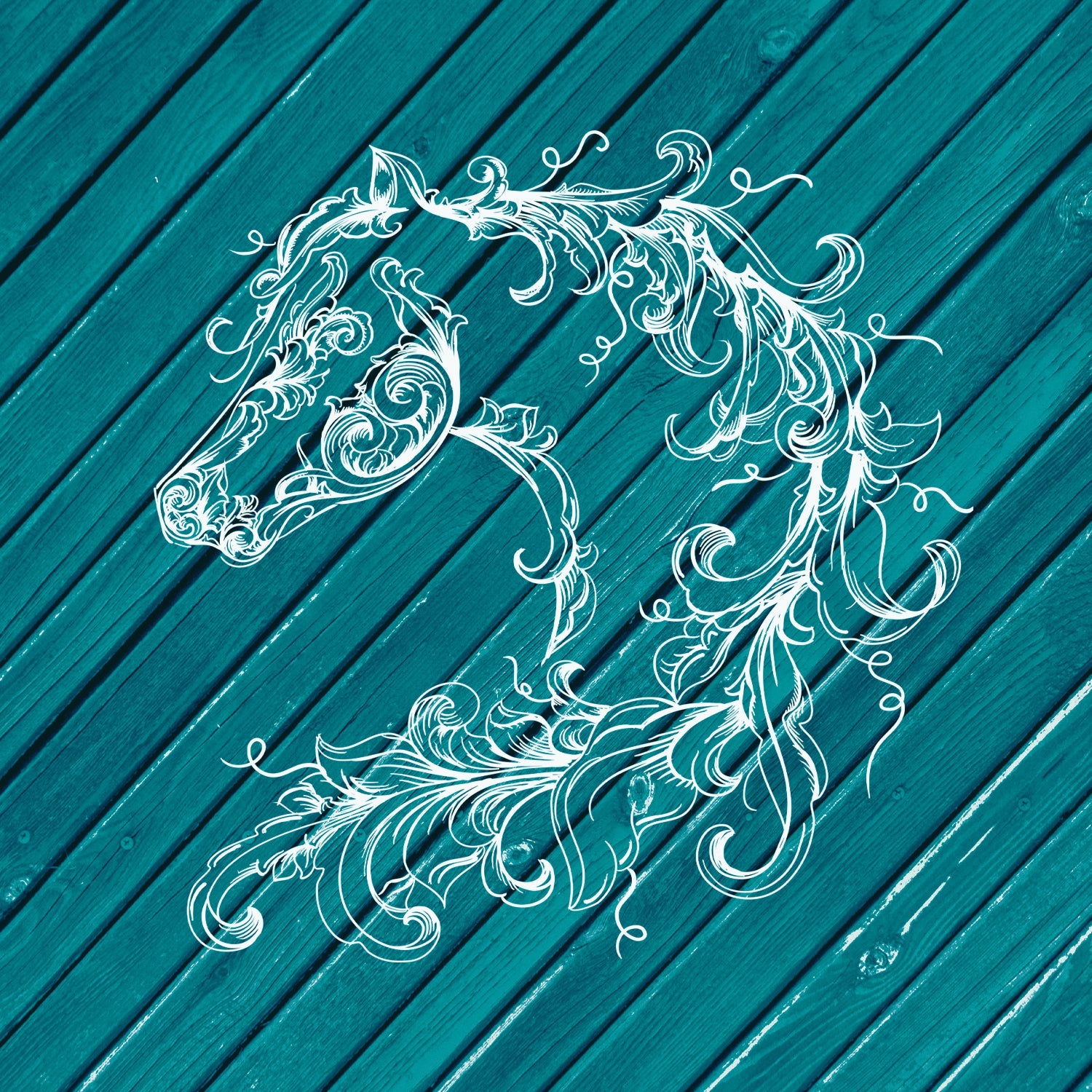 Live for the Ride - Horse Riding apparel for Women